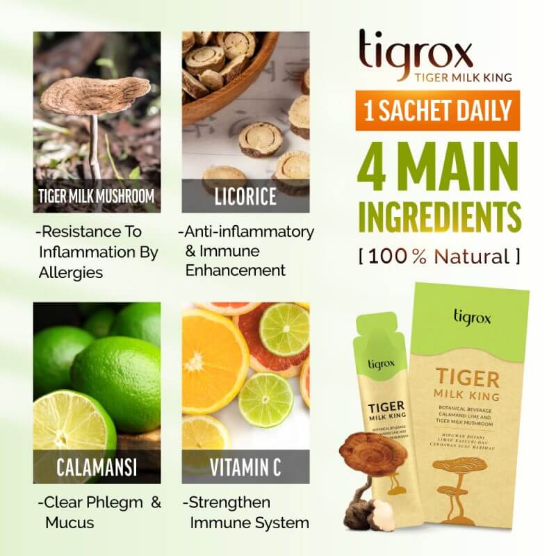 Tiger Milk King - Keep Your Lung Healthy with 5 Benefits